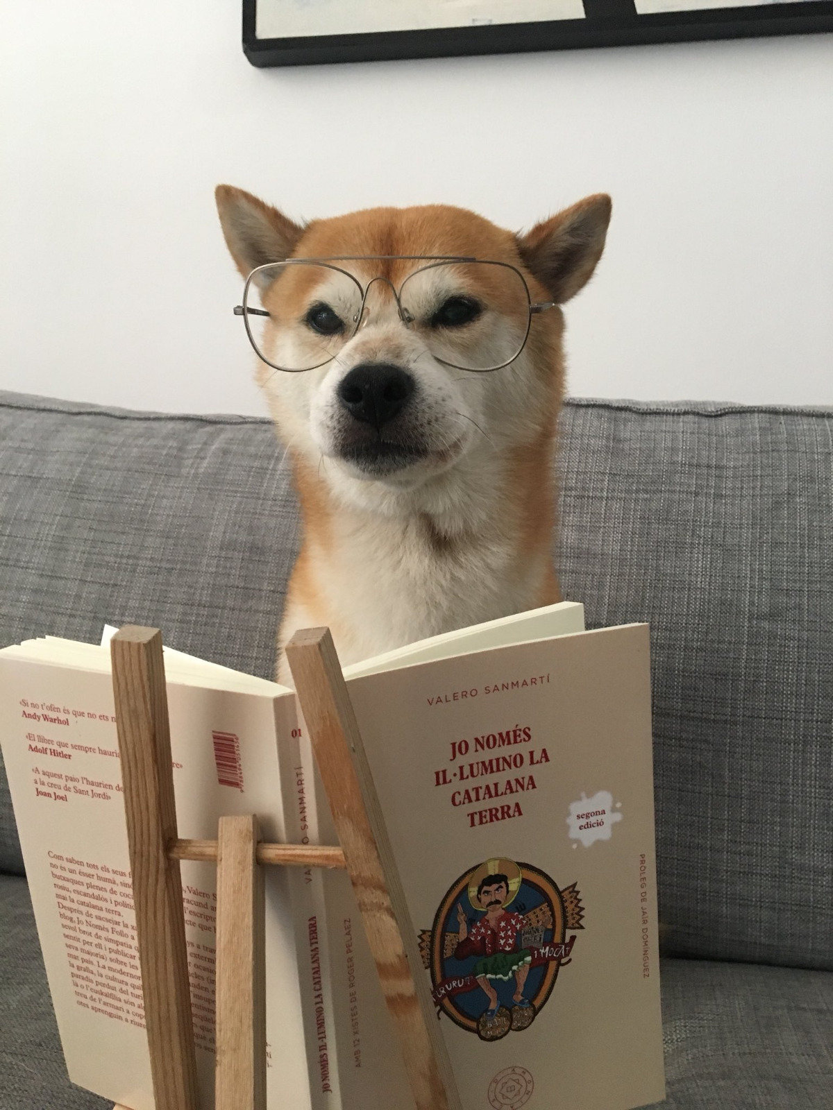 La perra de Jaén que 'solo entiende órdenes en catalán' hace tendencia ...