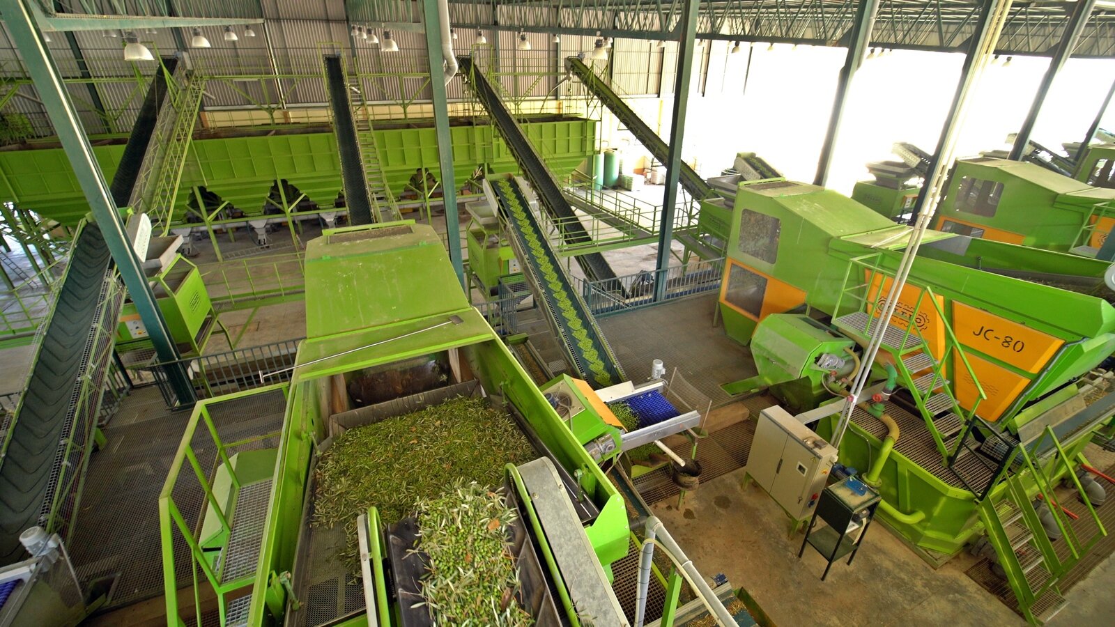 España cierra una campaña de récord comercializador de aceite de oliva